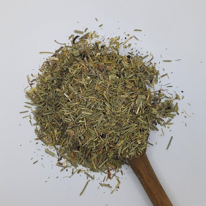 Horsetail (Shavegrass) – The Copper Kettle